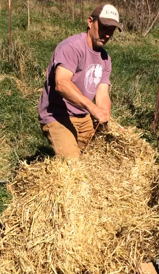 Applying Mulch – Green Thumb Gardening Secrets